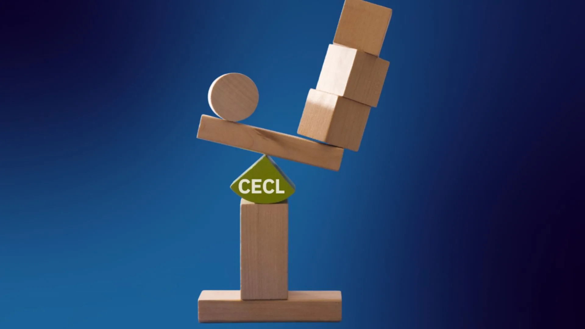 Is Your CECL System Meeting Your Needs? | FRG
